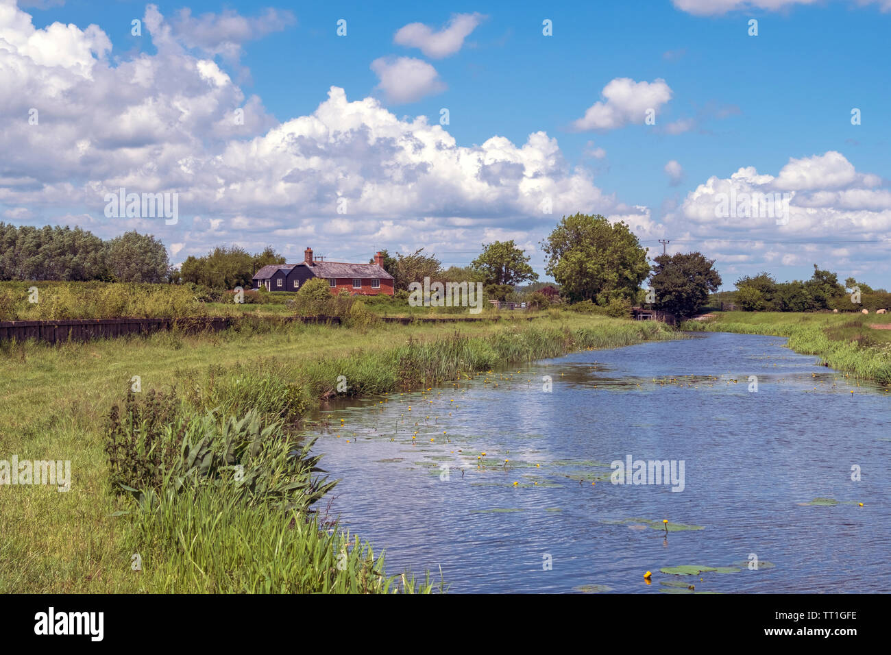 River bank uk river bank uk countryside hi-res stock photography and ...