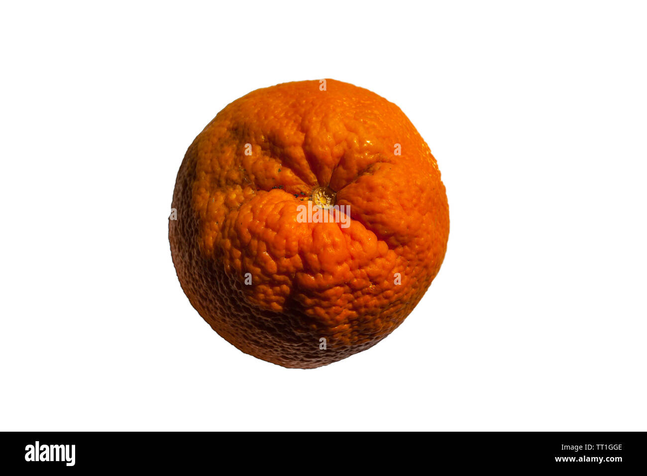 Top view of orange on a white background Stock Photo - Alamy