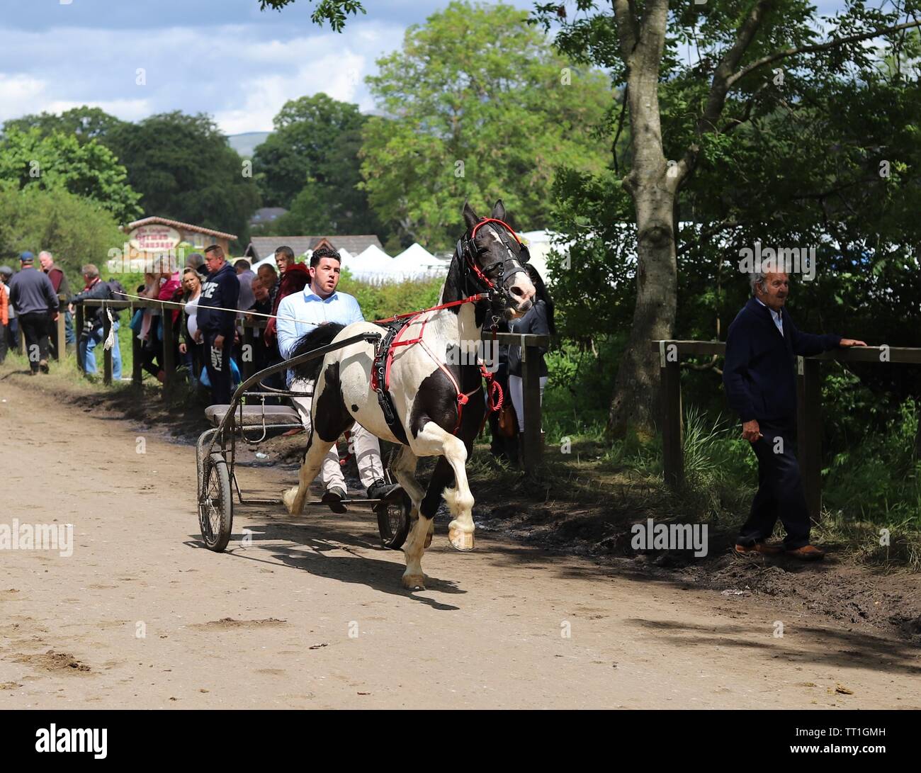 Appleby Horse Fair 2019 Stock Photo - Alamy