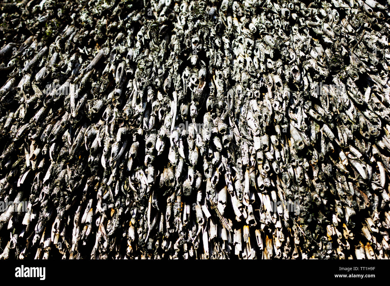 Native roofing hi-res stock photography and images - Alamy