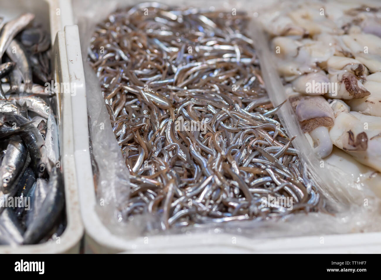 Palamos spain market hi-res stock photography and images - Alamy