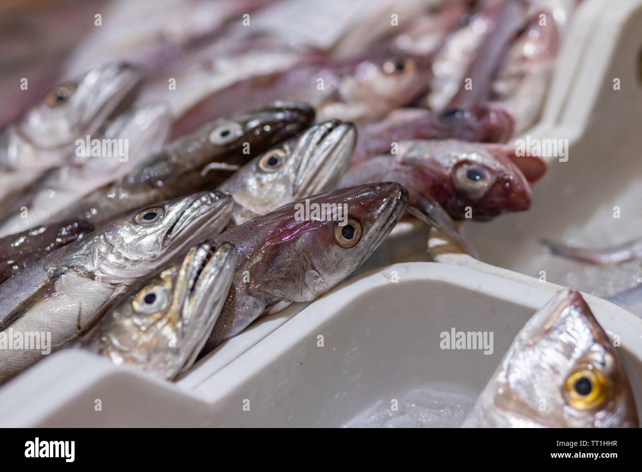 Palamos spain market hi-res stock photography and images - Alamy