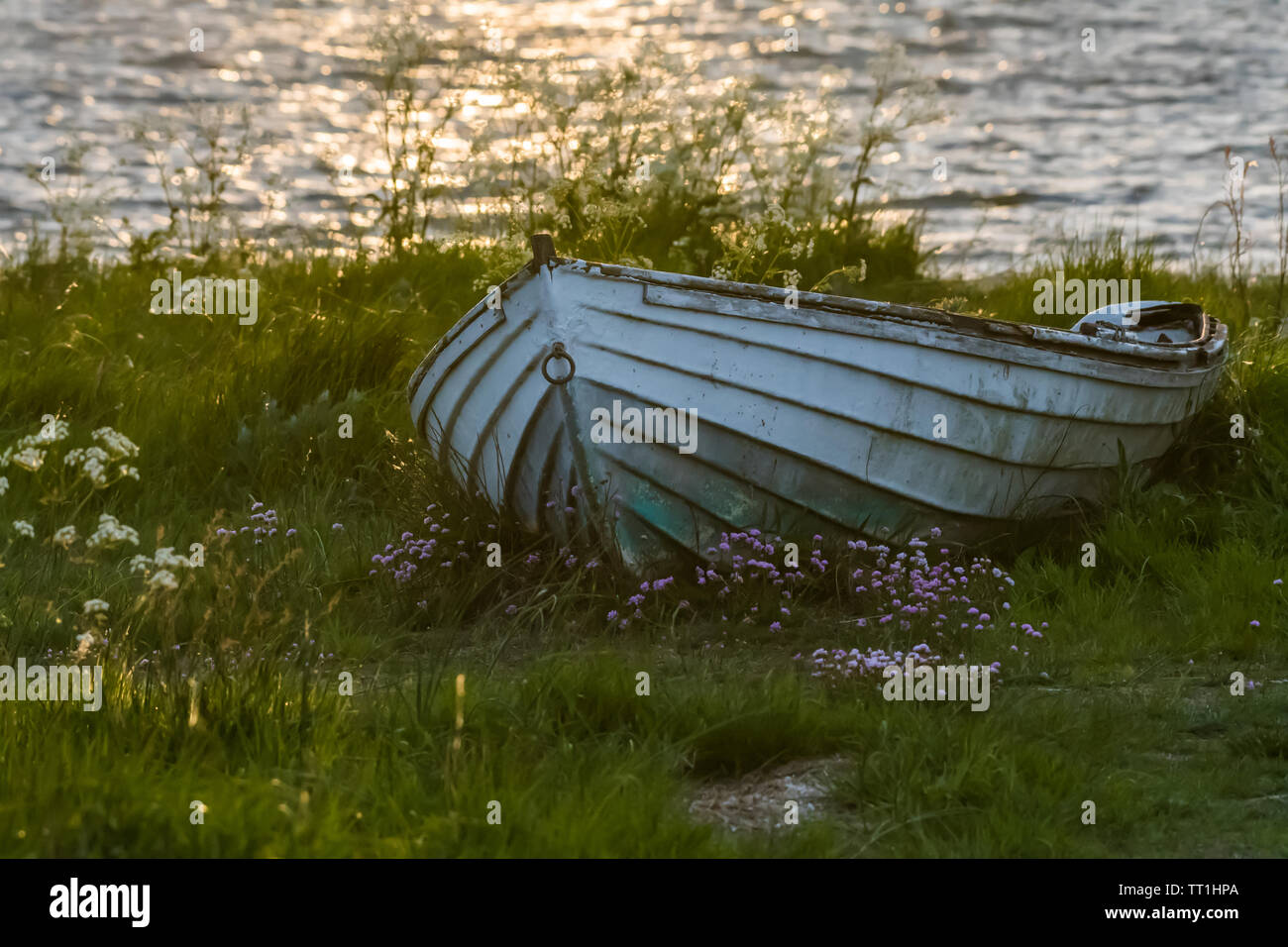 Old weathered rowing boat in green grass with pink flowers Stock Photo ...