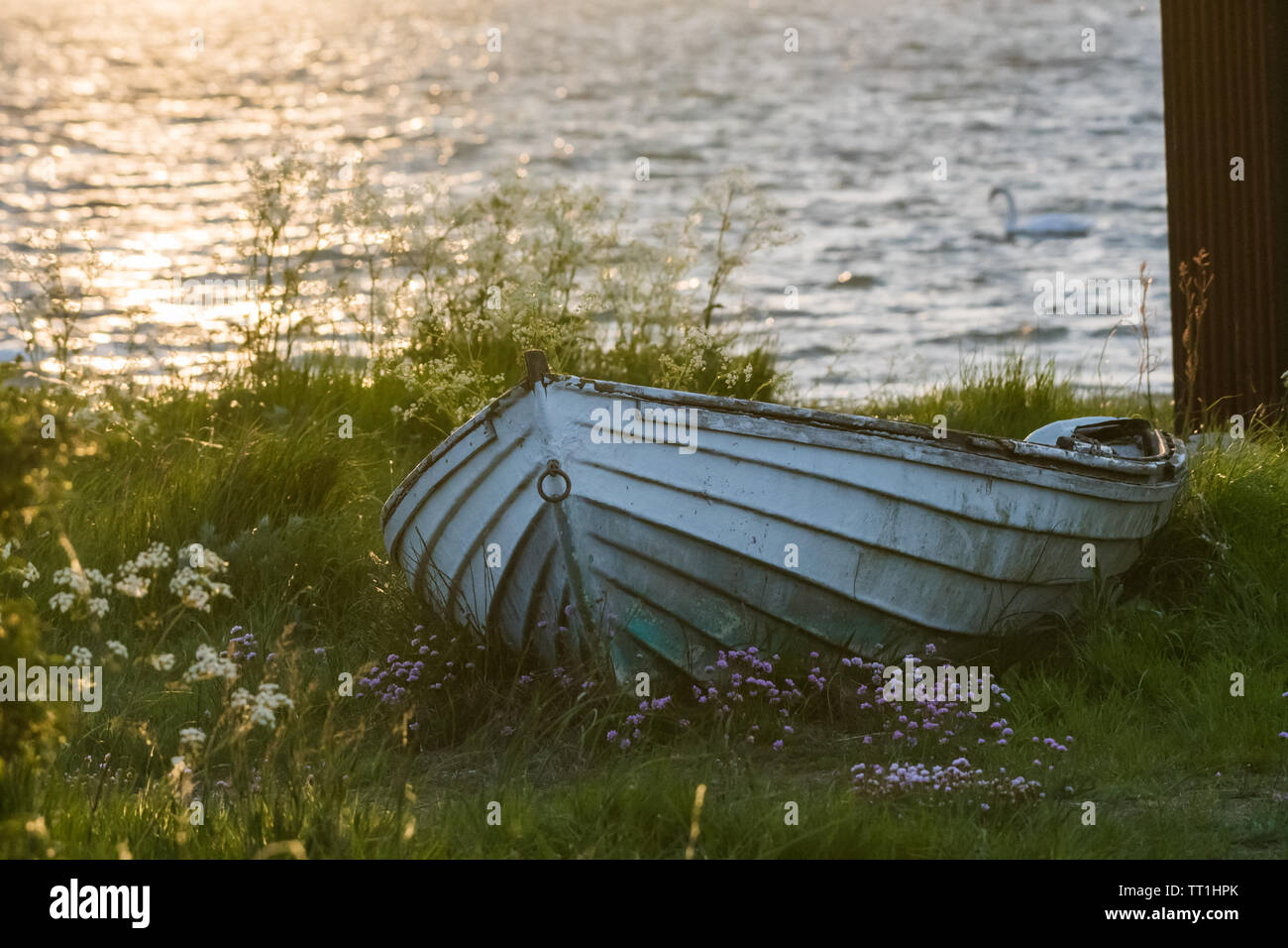 Broken old rowing boat coast hi-res stock photography and images - Alamy