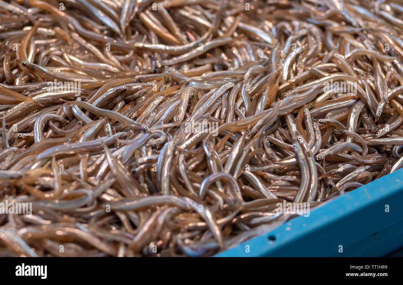 Palamos spain market hi-res stock photography and images - Alamy