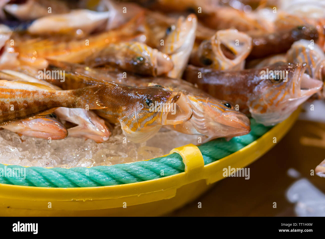 Palamos spain market hi-res stock photography and images - Alamy