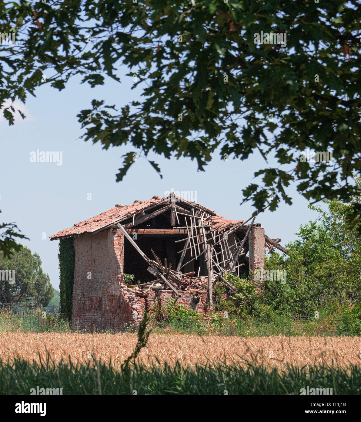 June field hi-res stock photography and images - Alamy