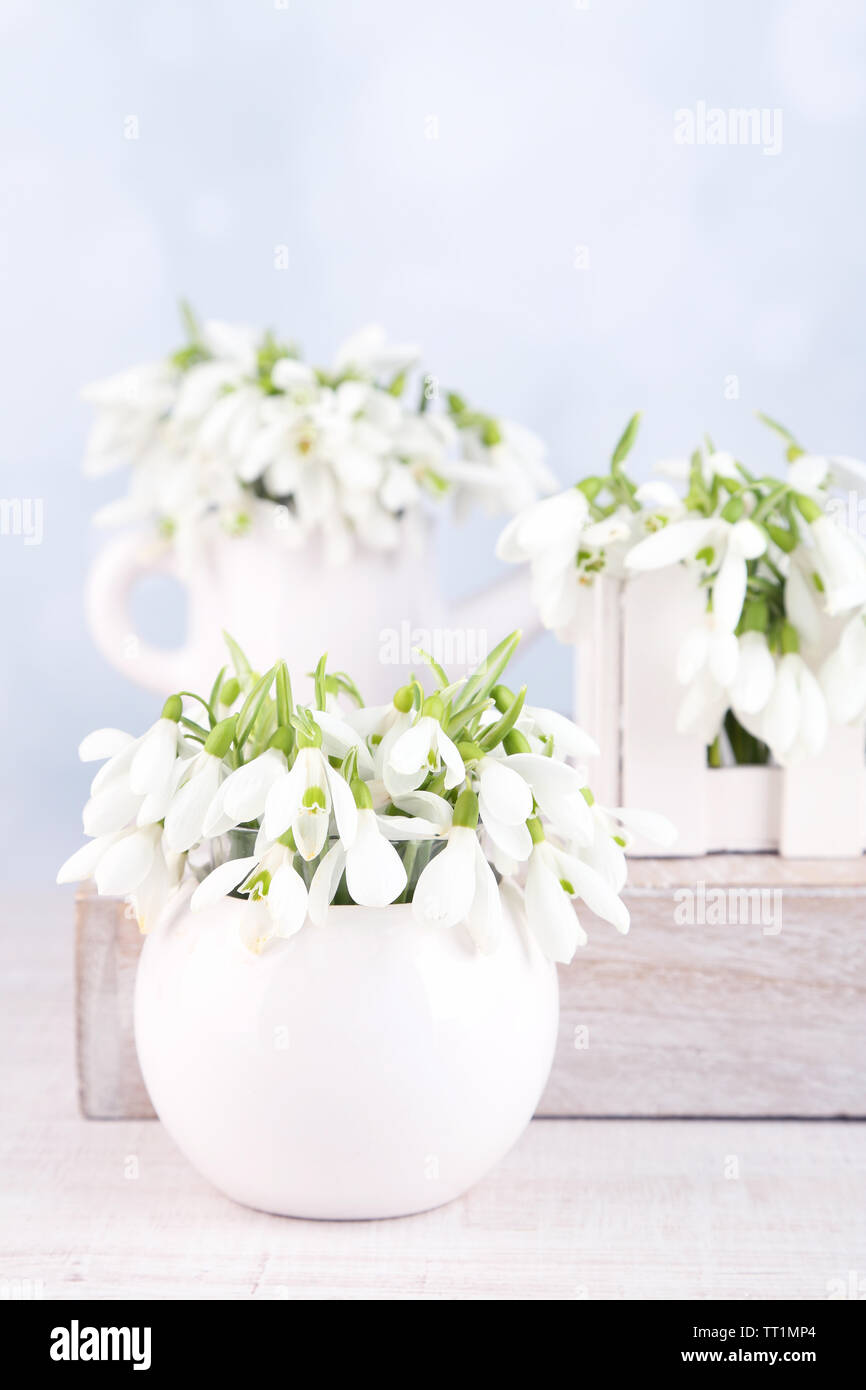 Beautiful snowdrops on light hi-res stock photography and images - Alamy