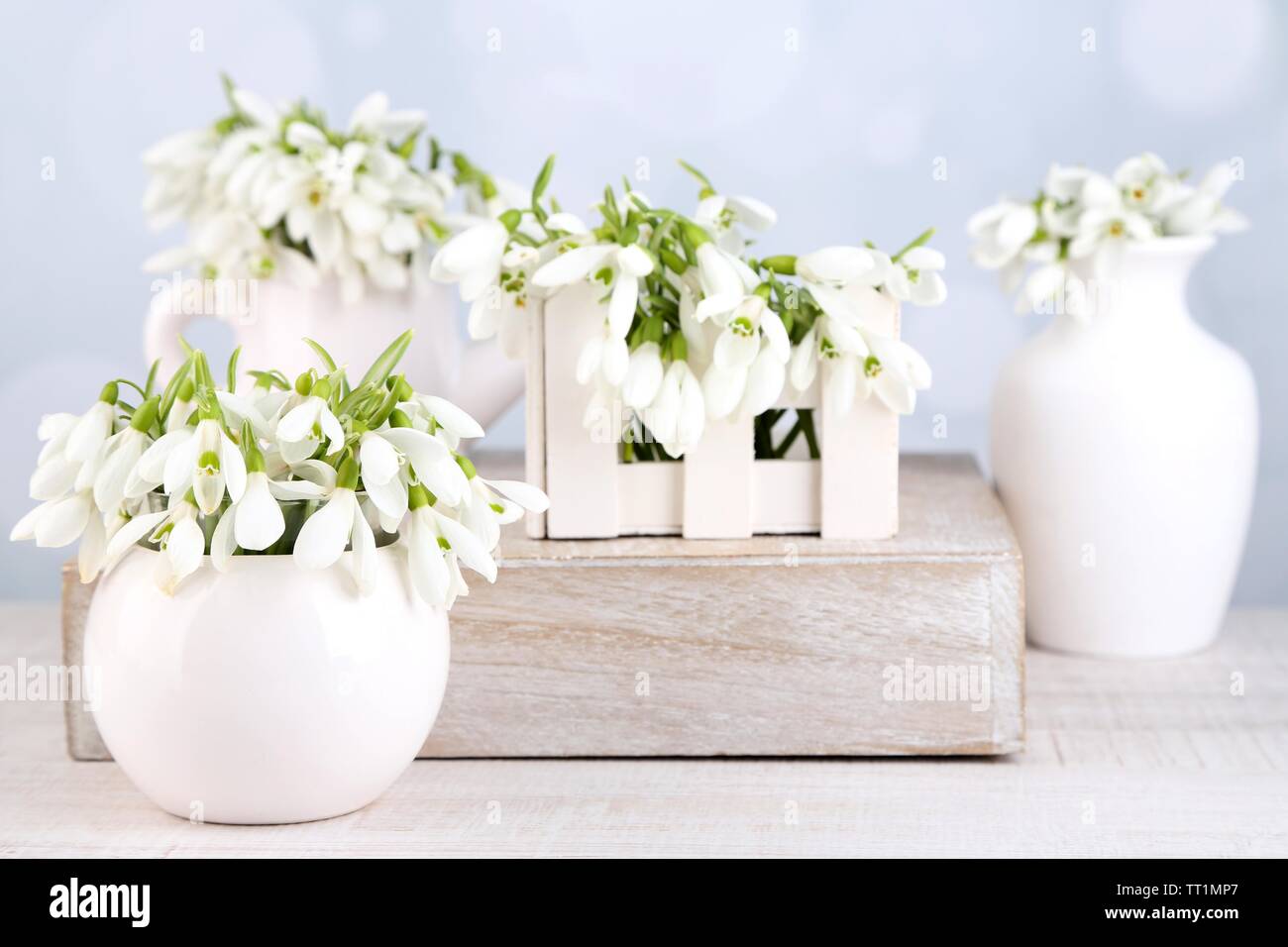 Beautiful snowdrops on light hi-res stock photography and images - Alamy