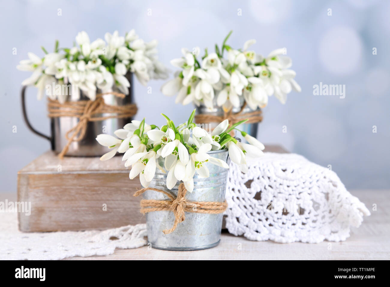 Beautiful snowdrops on light background Stock Photo - Alamy