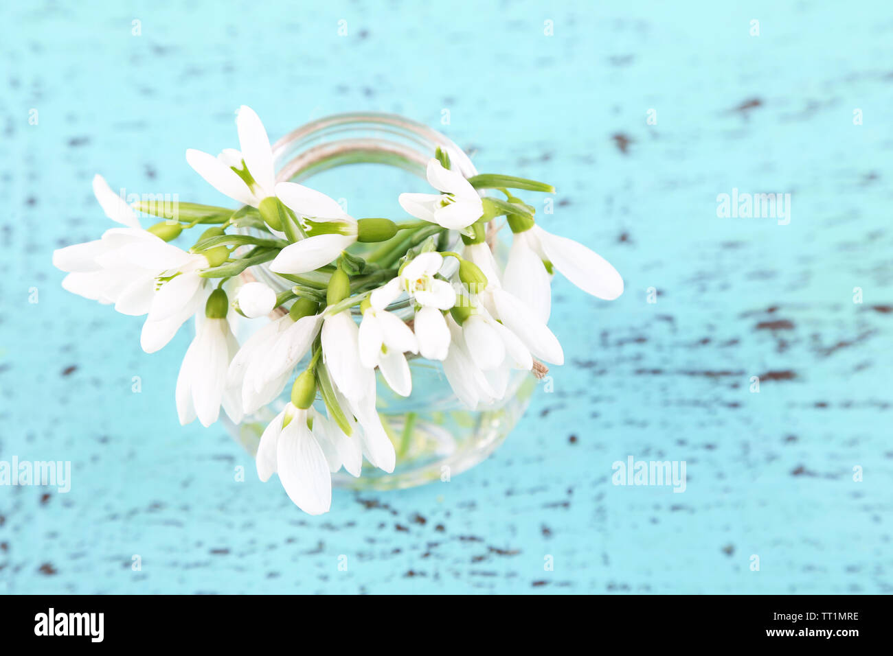 Bouquet of beautiful snowdrops on blue wooden background Stock Photo ...