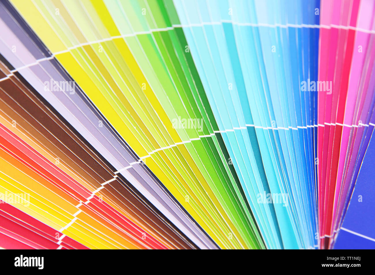 Paper palette close up Stock Photo - Alamy