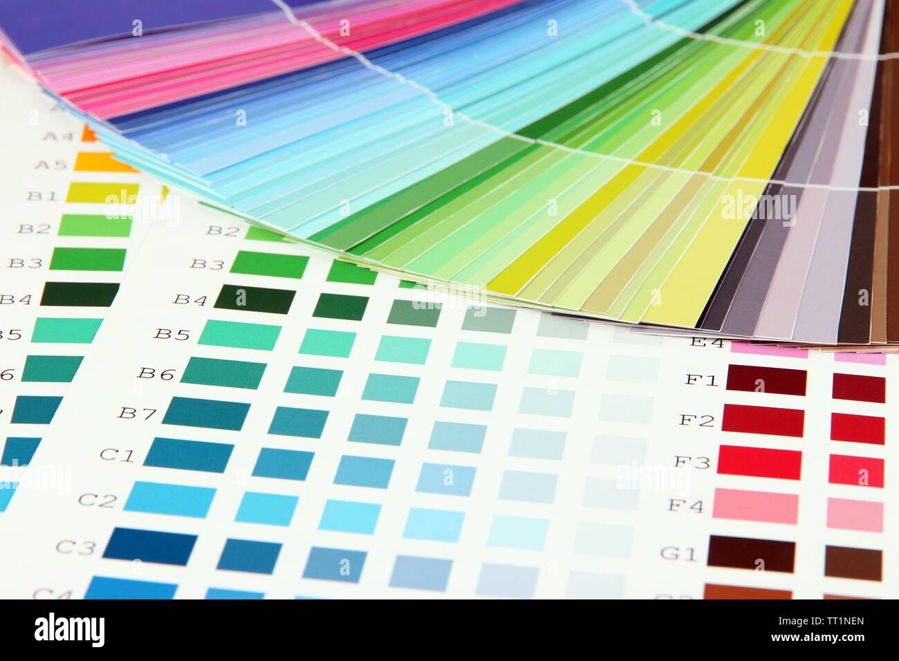 Different color options hi-res stock photography and images - Alamy