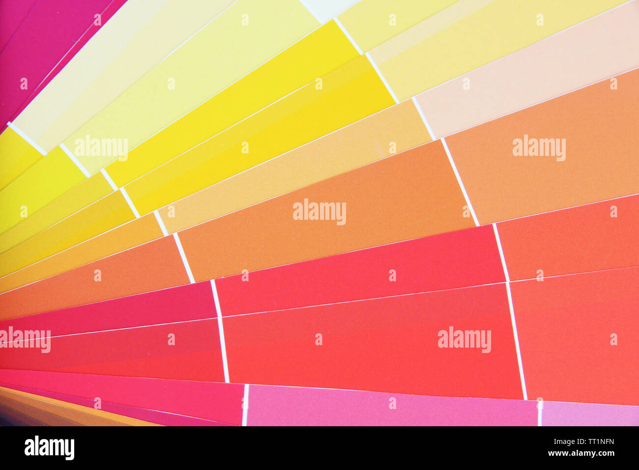 Paper palette close up Stock Photo - Alamy