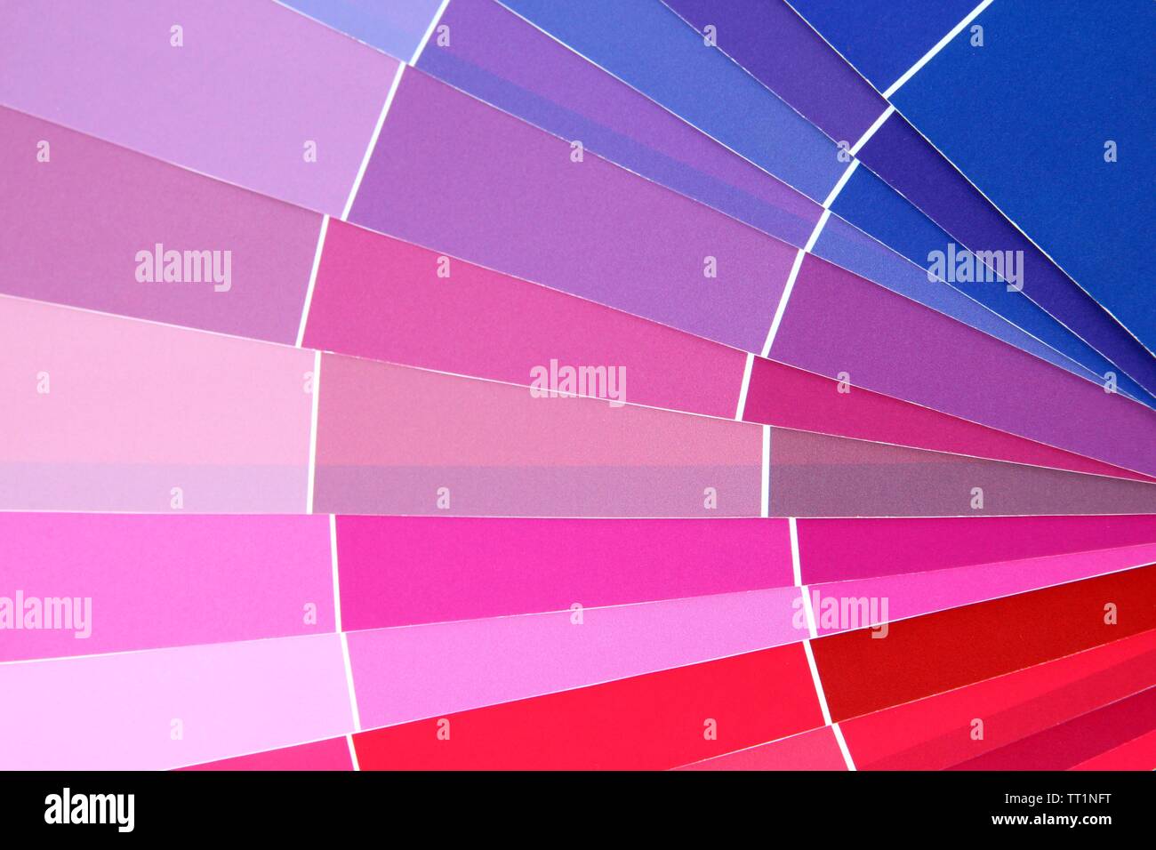 Paper palette close up Stock Photo - Alamy