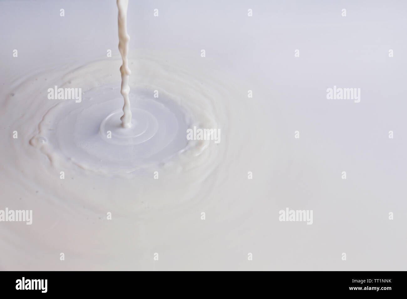 Pouring milk splash isolated on white Stock Photo - Alamy
