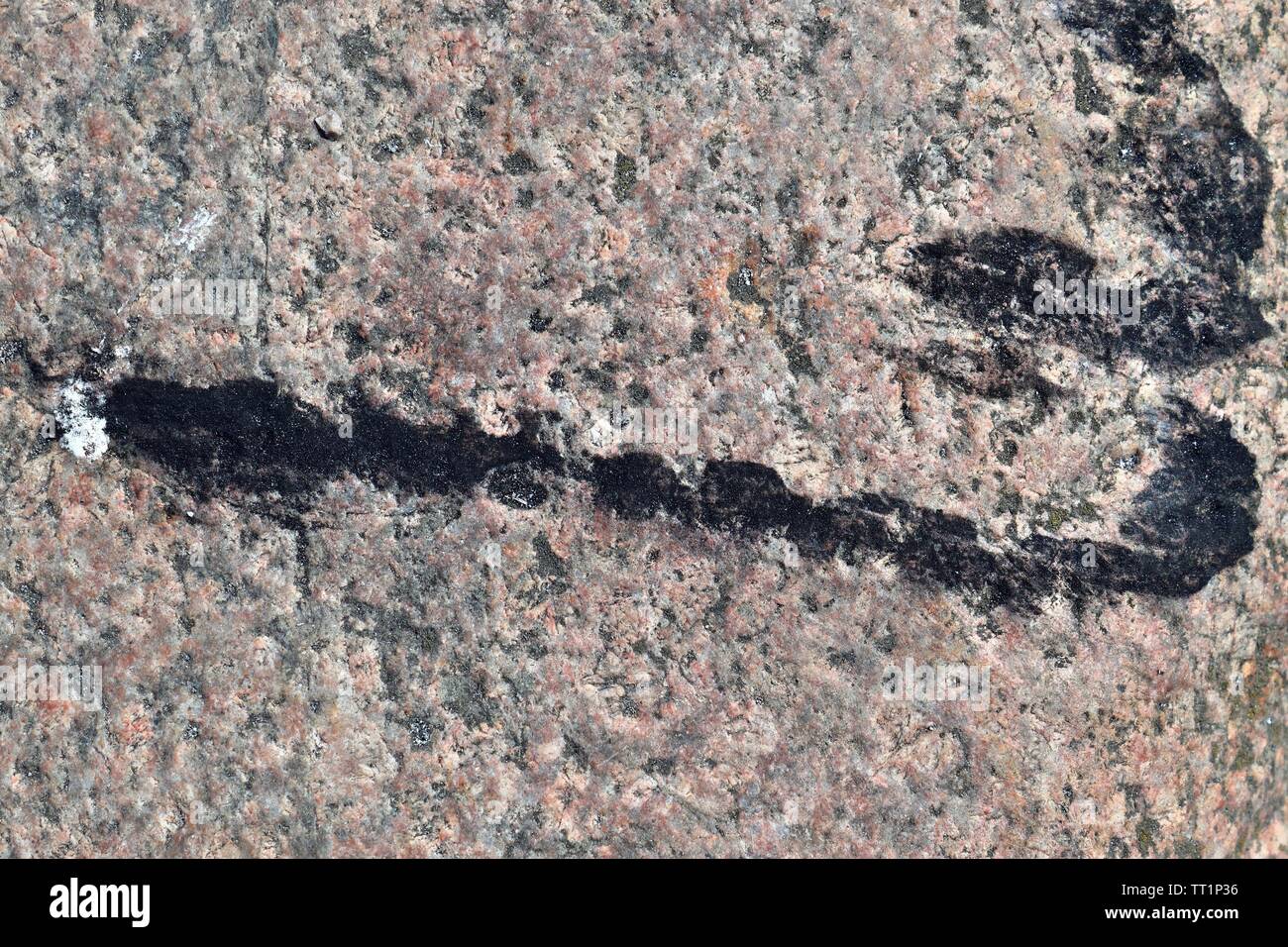 Detailed close up surface of a granite rock texture in high resolution ...
