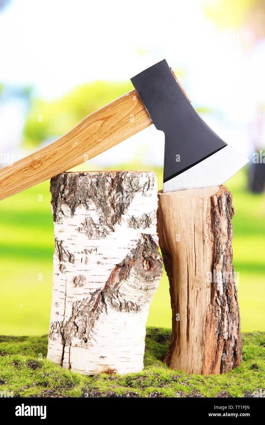 Ax and firewood on green grass, on nature background Stock Photo - Alamy