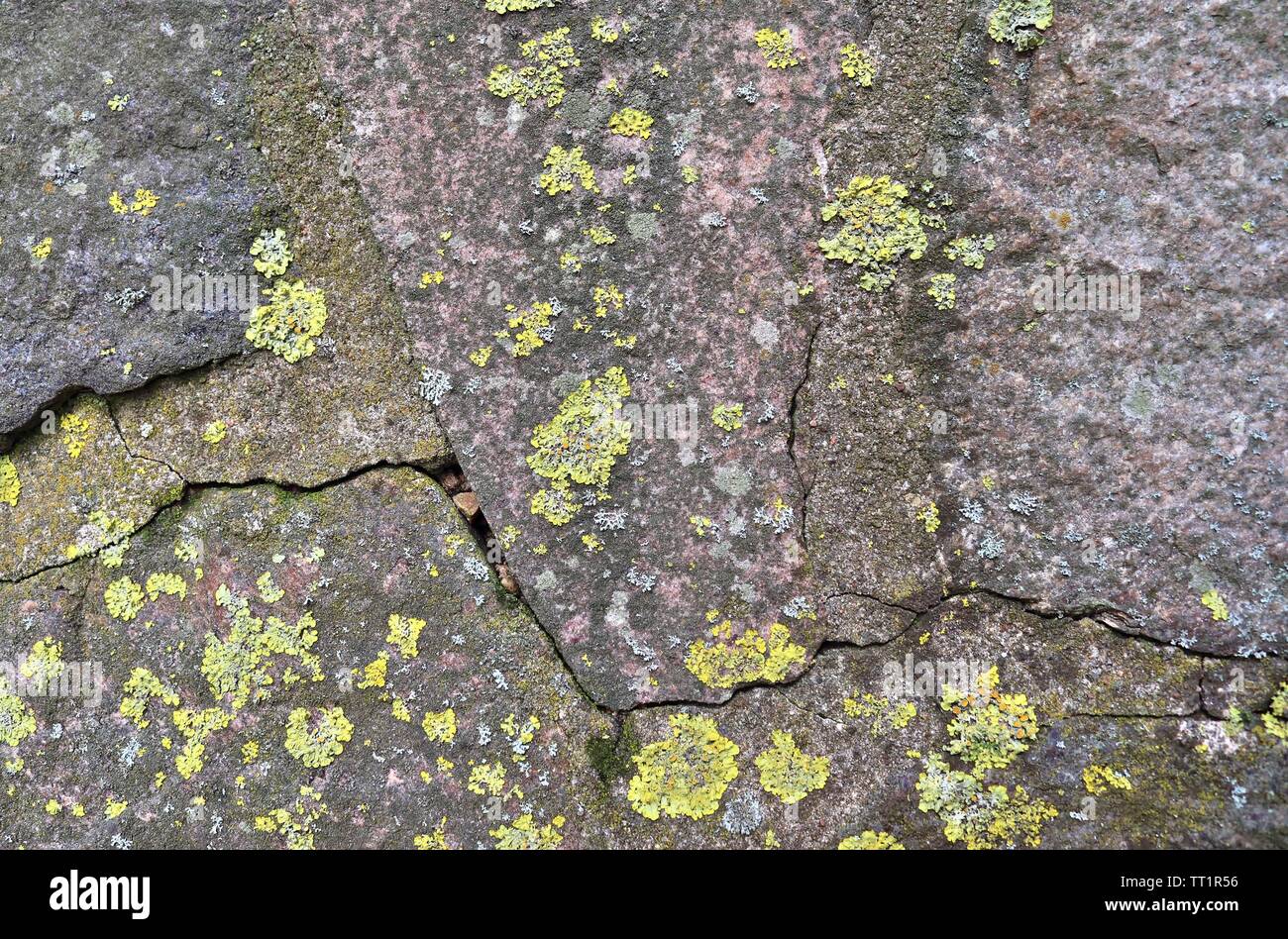Detailed close up surface of a granite rock texture in high resolution ...