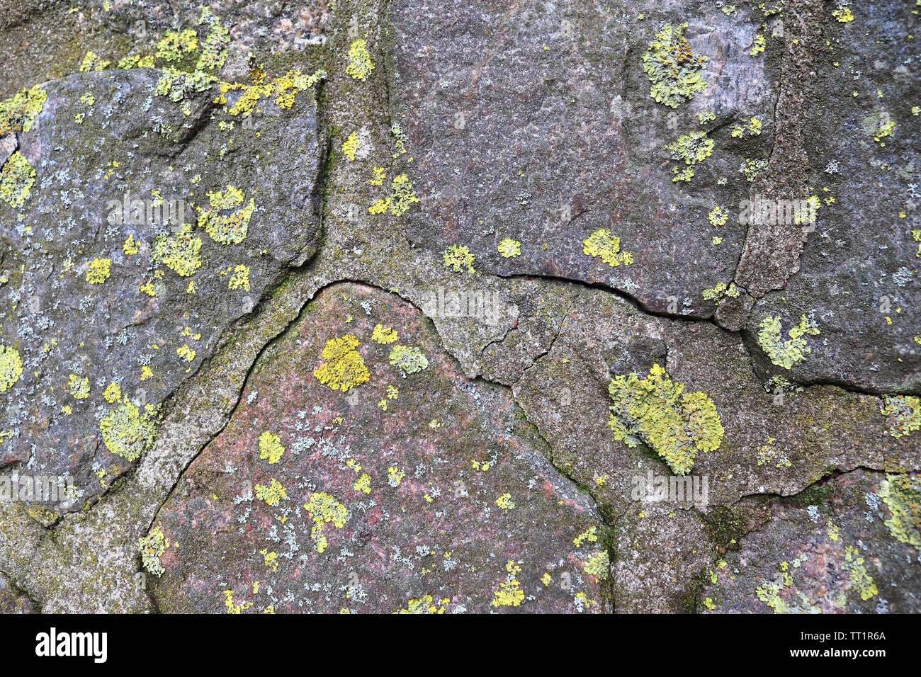 Detailed close up surface of a granite rock texture in high resolution ...
