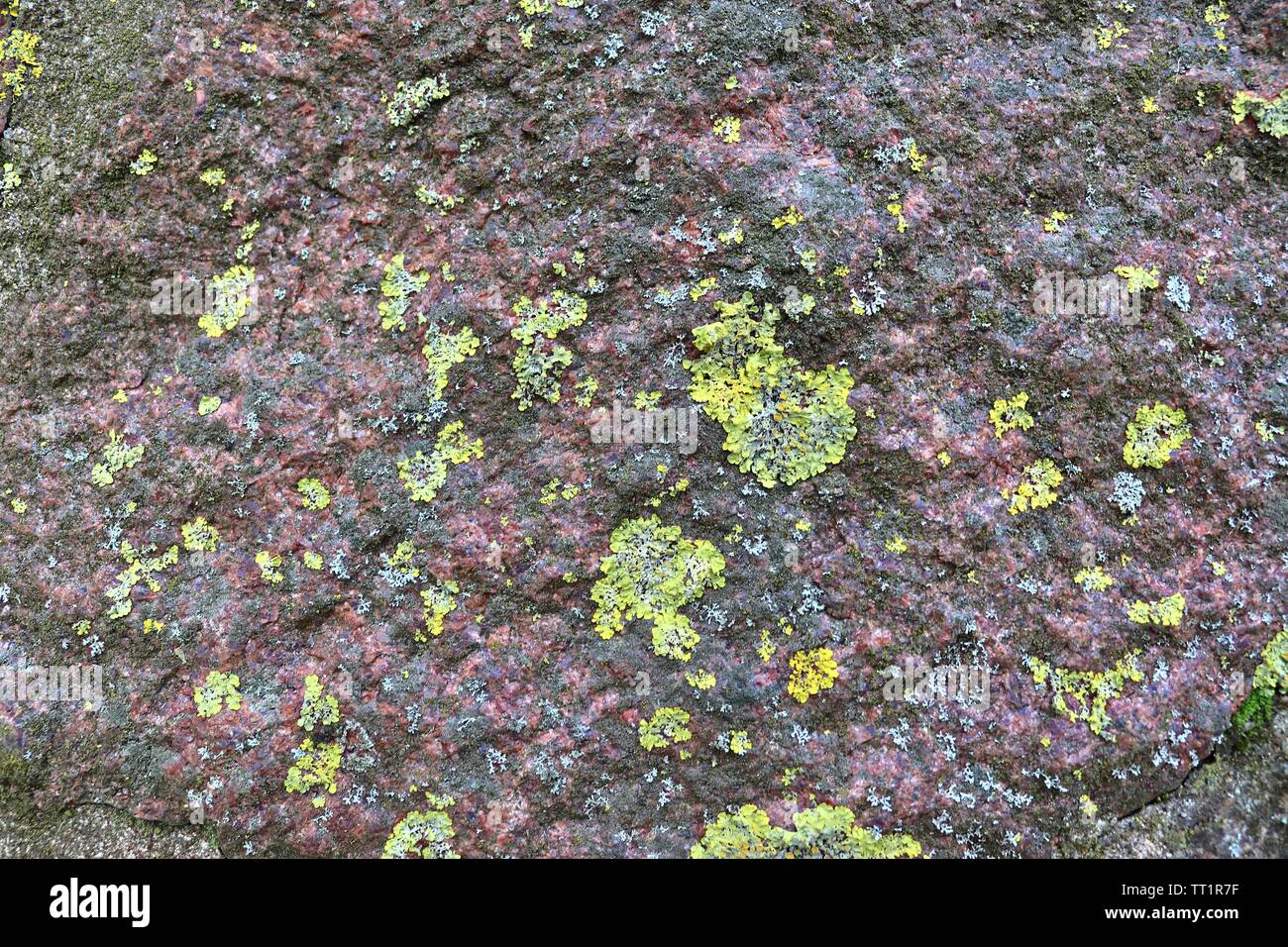 Detailed close up surface of a granite rock texture in high resolution ...