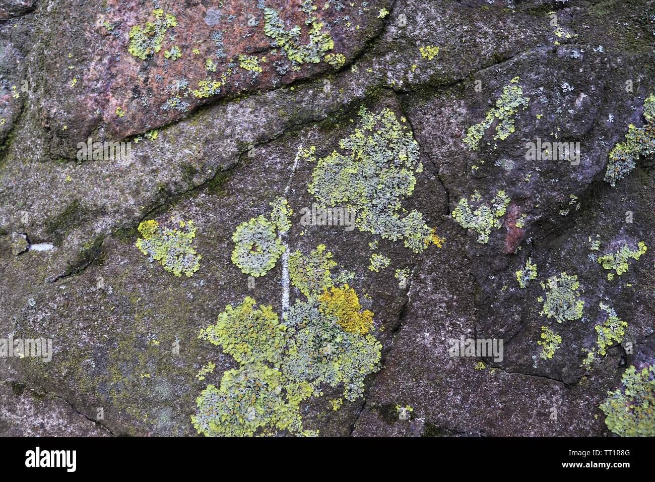 Detailed close up surface of a granite rock texture in high resolution ...