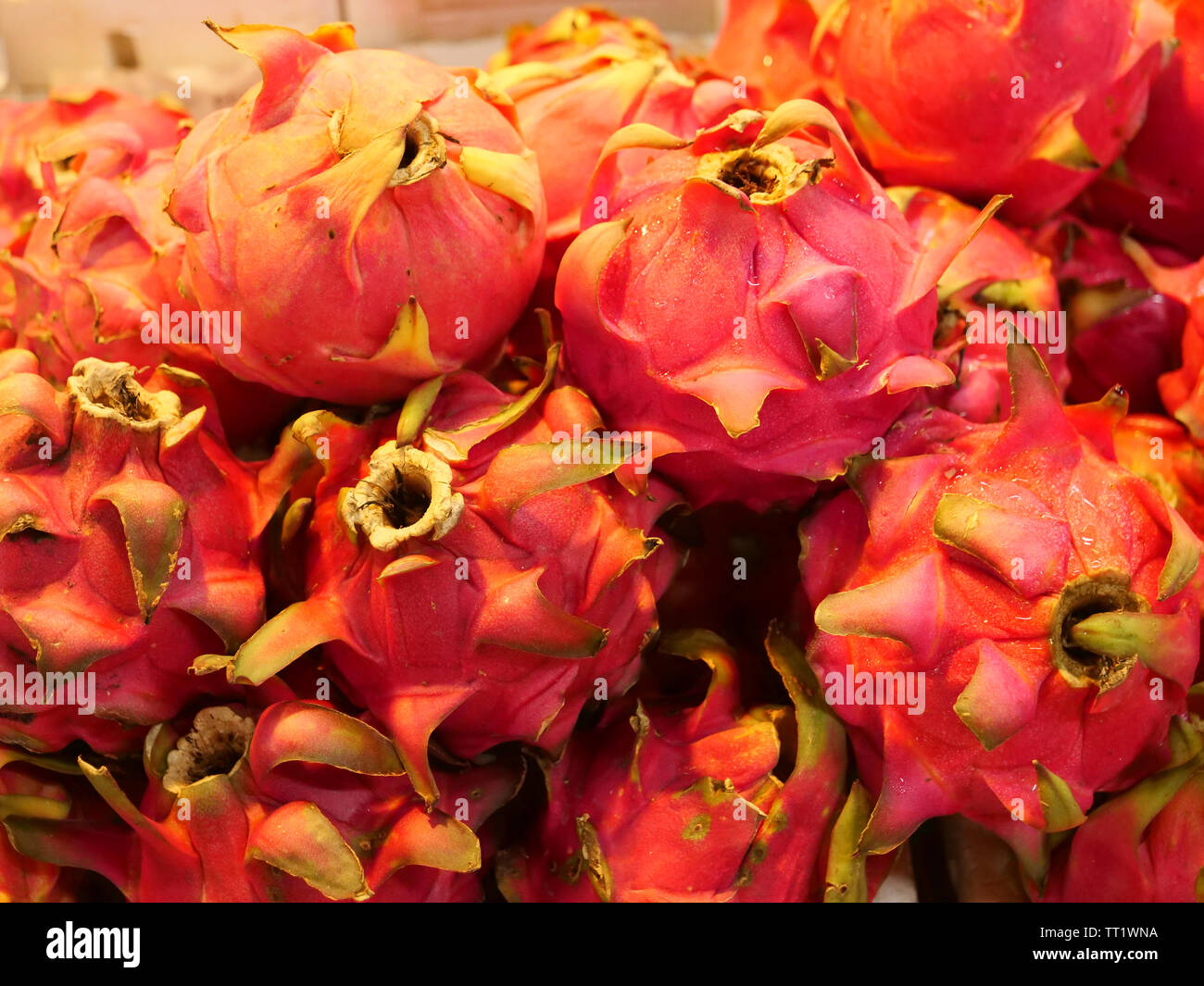 Tropical fruits of the world hi-res stock photography and images - Alamy