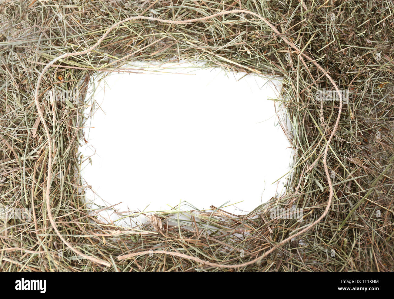 Hay with white background Stock Photo - Alamy