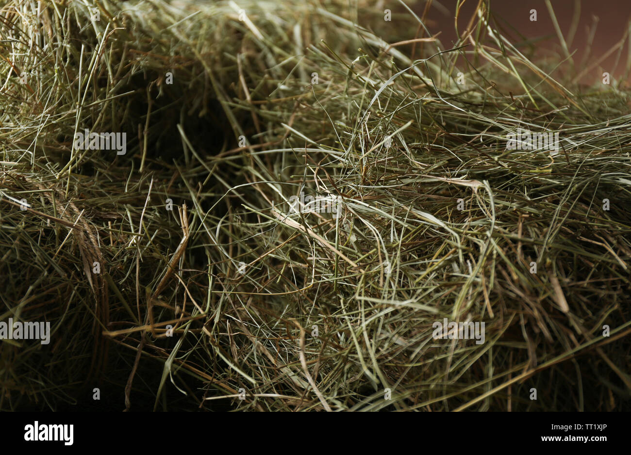 Close up shot of straw hay texture hi-res stock photography and images ...