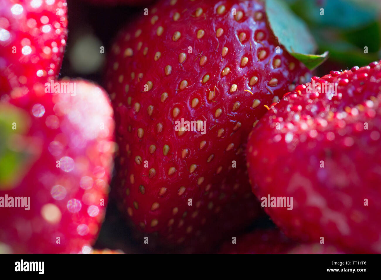 strawberry macro background close up Stock Photo - Alamy