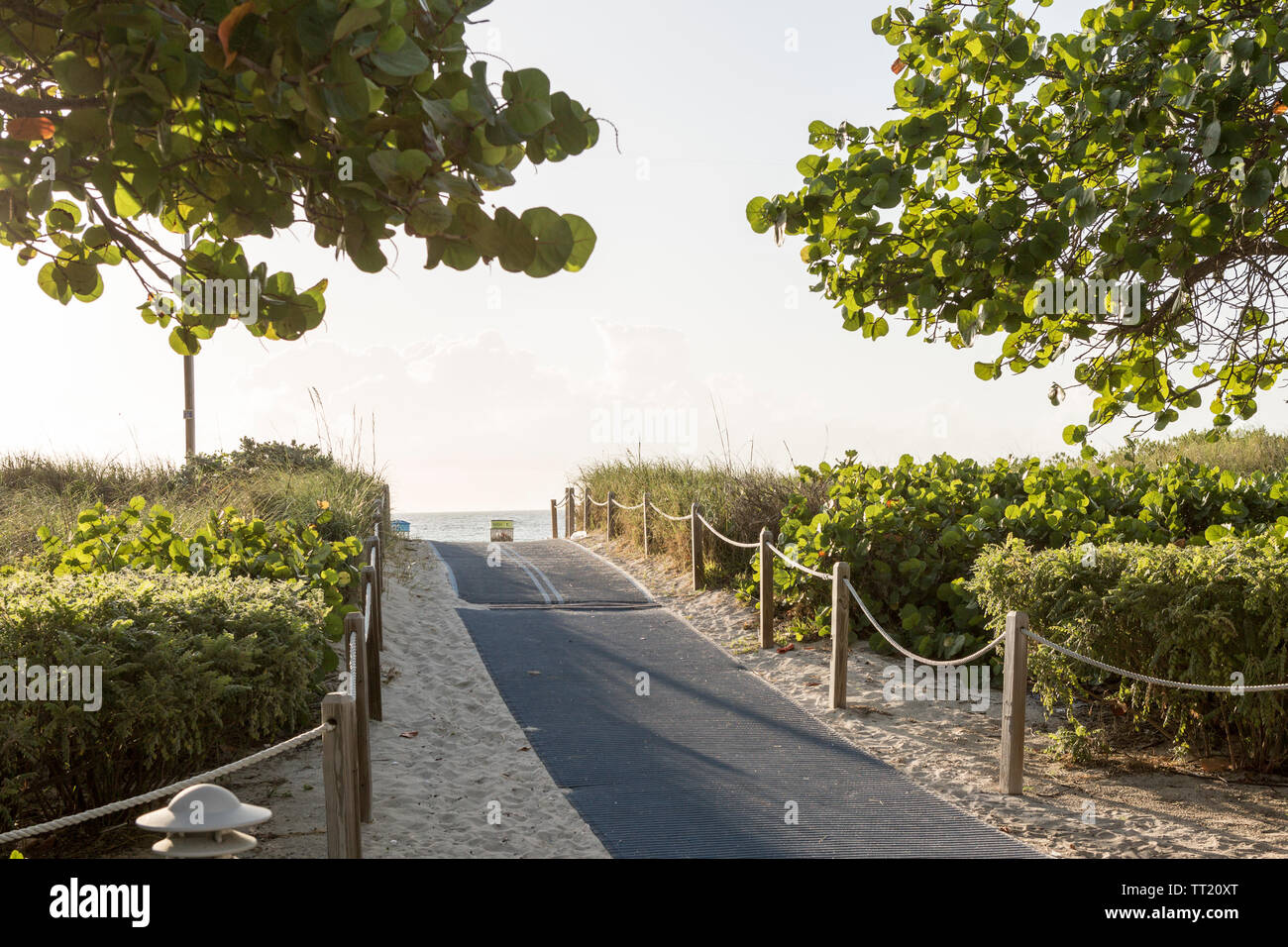 A path leads through the hammock and dunes to the beach in South Beach ...
