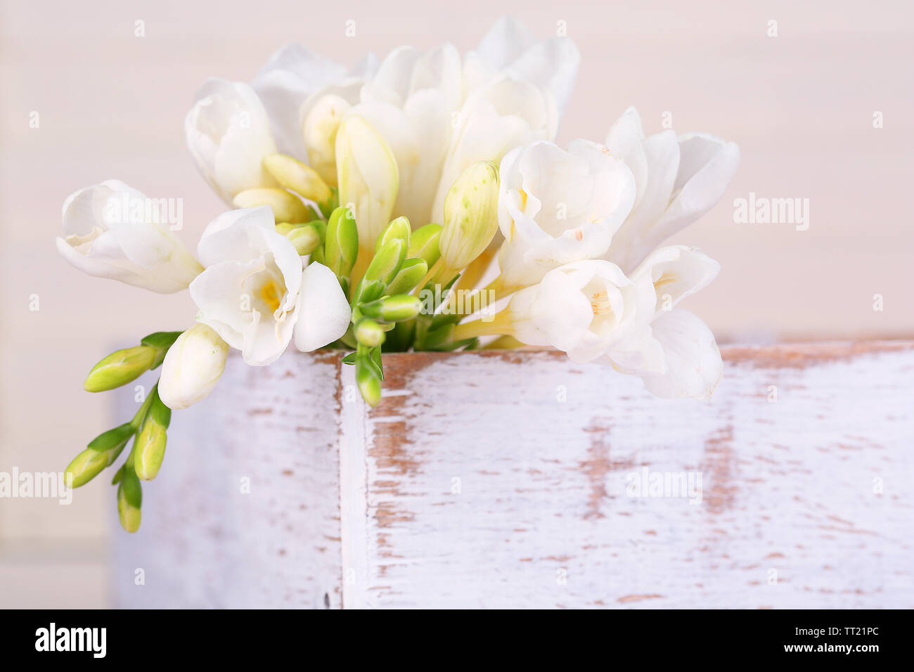 Beautiful freesias in wooden box Stock Photo - Alamy