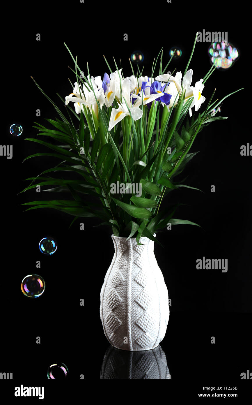 Beautiful irises on black background Stock Photo - Alamy