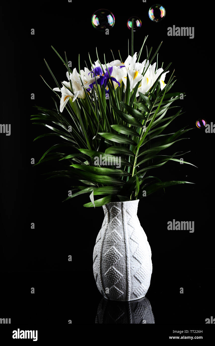 Beautiful irises on black background Stock Photo - Alamy
