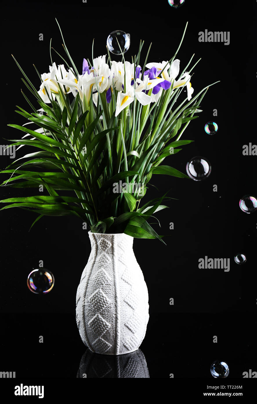 Beautiful irises on black background Stock Photo - Alamy