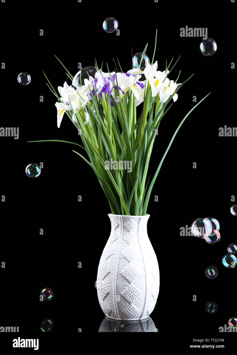 Beautiful irises on black background Stock Photo - Alamy
