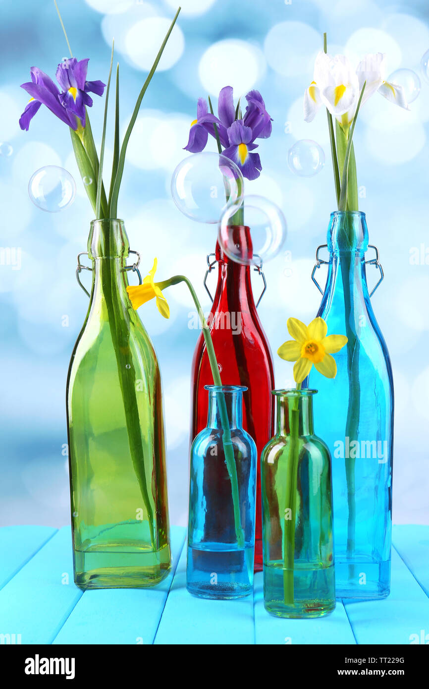 Beautiful irises and daffodils in bottles, on light background Stock ...
