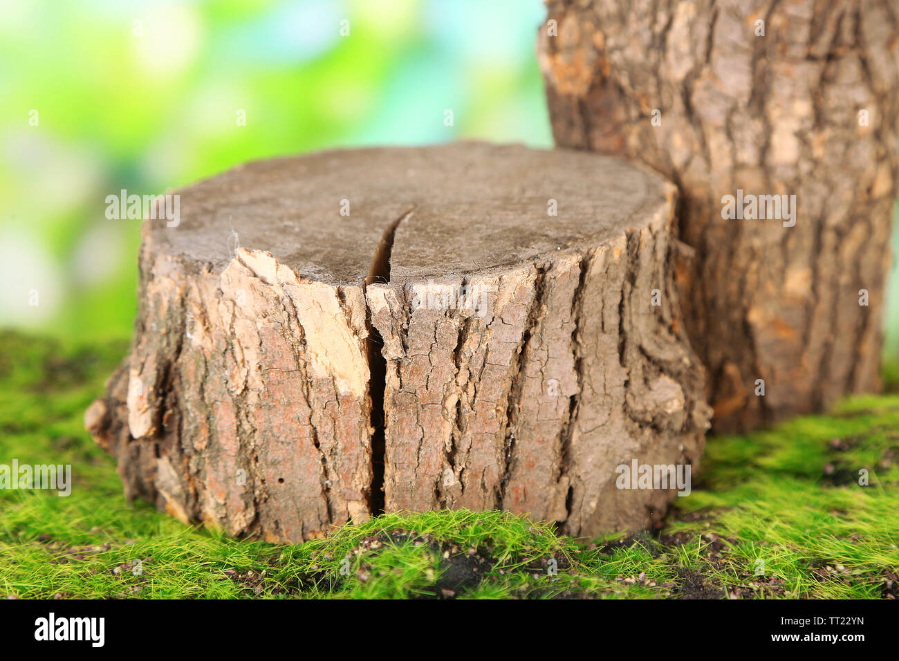 Green grass circle piece hi-res stock photography and images - Alamy