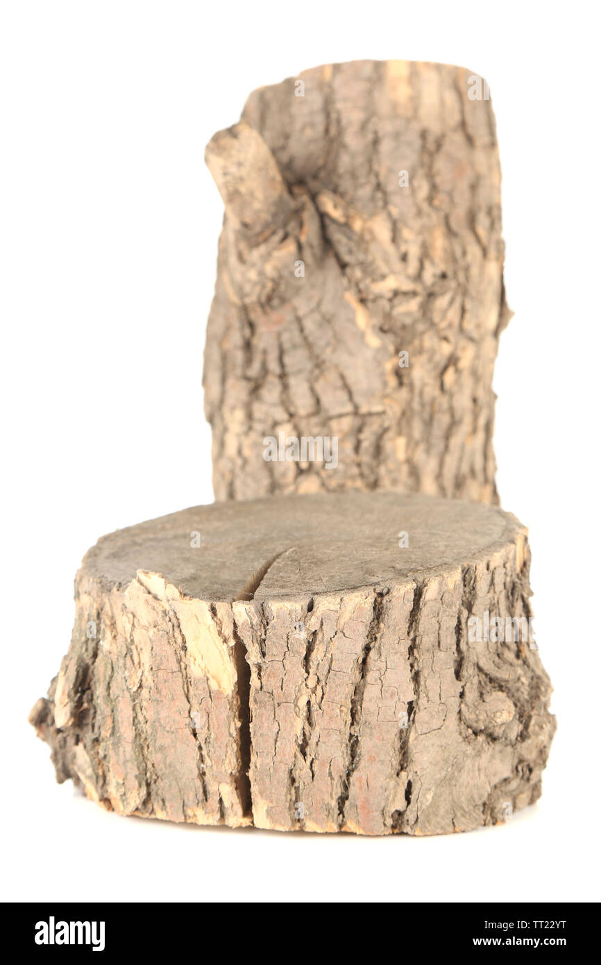 Old stumps Cut Out Stock Images & Pictures - Alamy