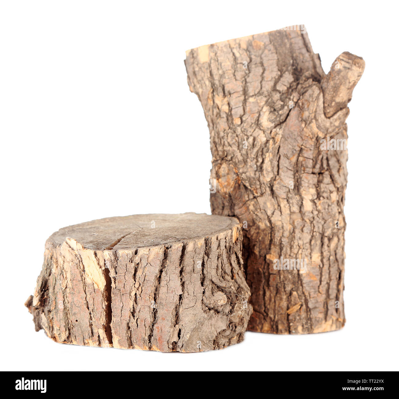 Stumps, isolated on white Stock Photo - Alamy