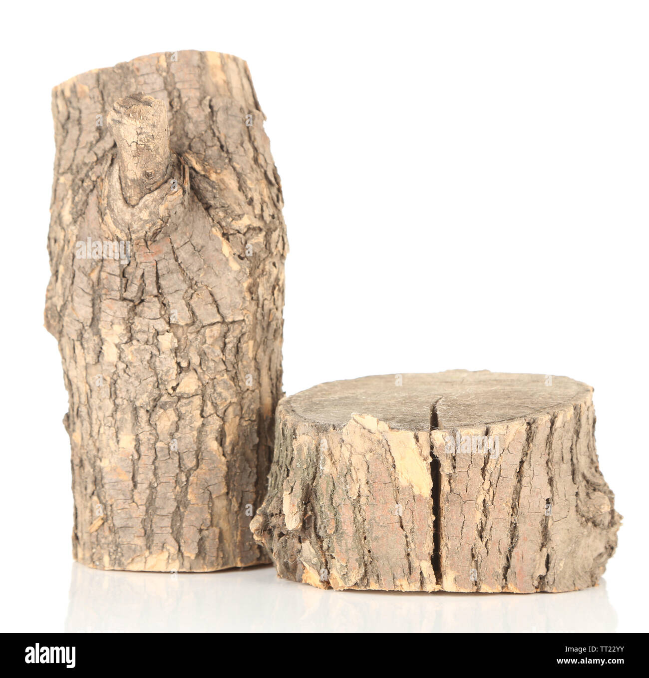 Stumps, isolated on white Stock Photo - Alamy