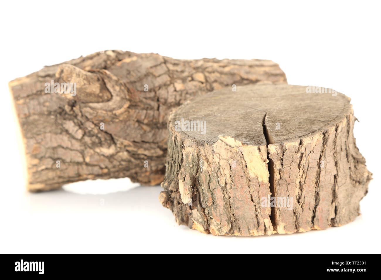 Stumps, isolated on white Stock Photo - Alamy