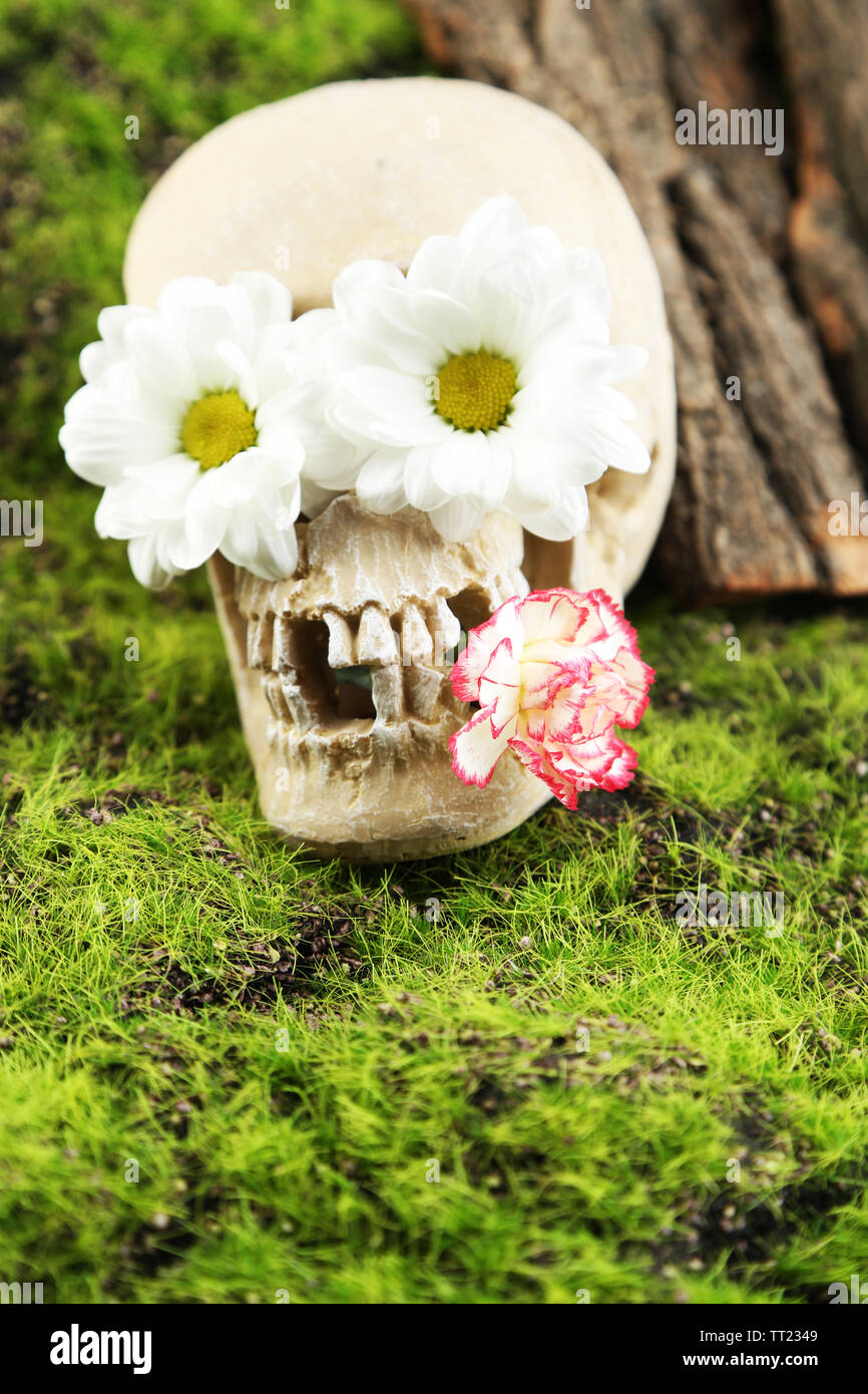 Skull with flowers on green grass background Stock Photo - Alamy