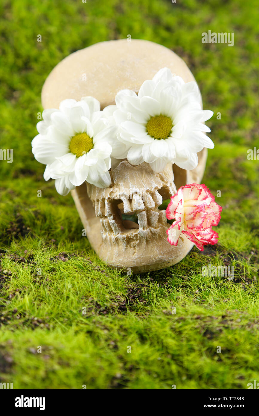 Skull with flowers on green grass background Stock Photo - Alamy