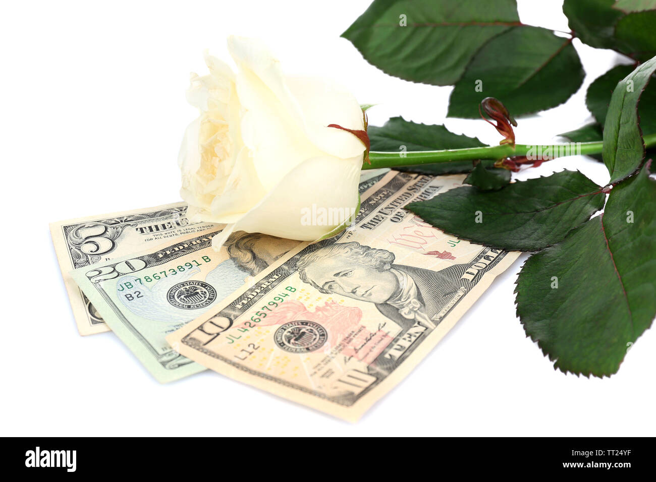 Beautiful rose and money, isolated on white Stock Photo - Alamy