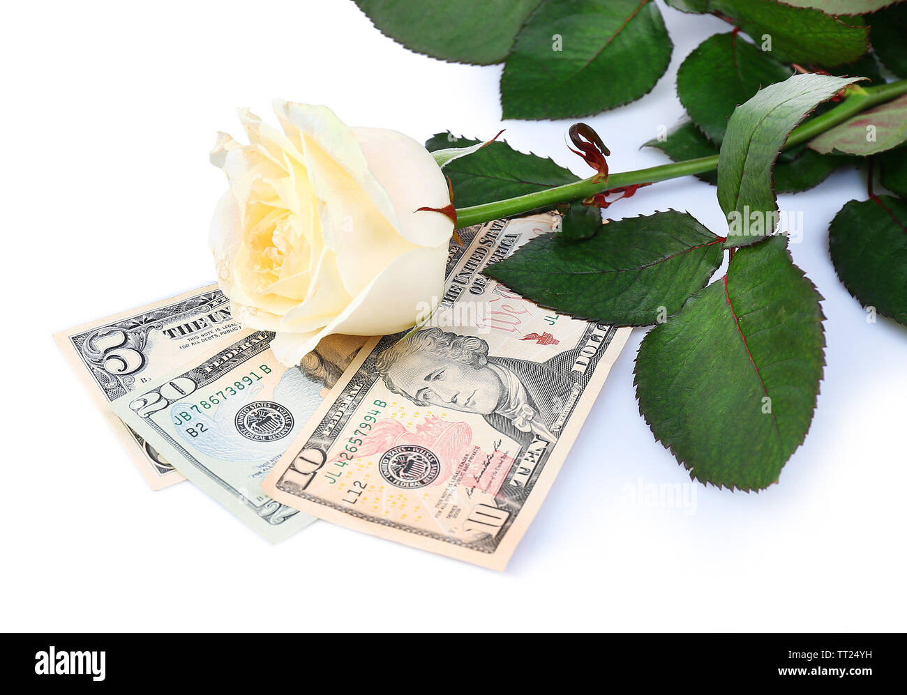 Beautiful rose and money, isolated on white Stock Photo - Alamy
