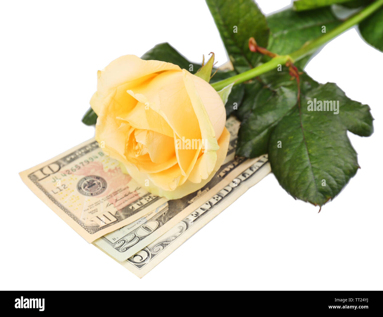 Beautiful rose and money, isolated on white Stock Photo - Alamy