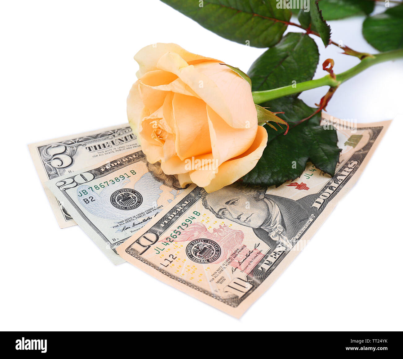 Beautiful rose and money, isolated on white Stock Photo - Alamy