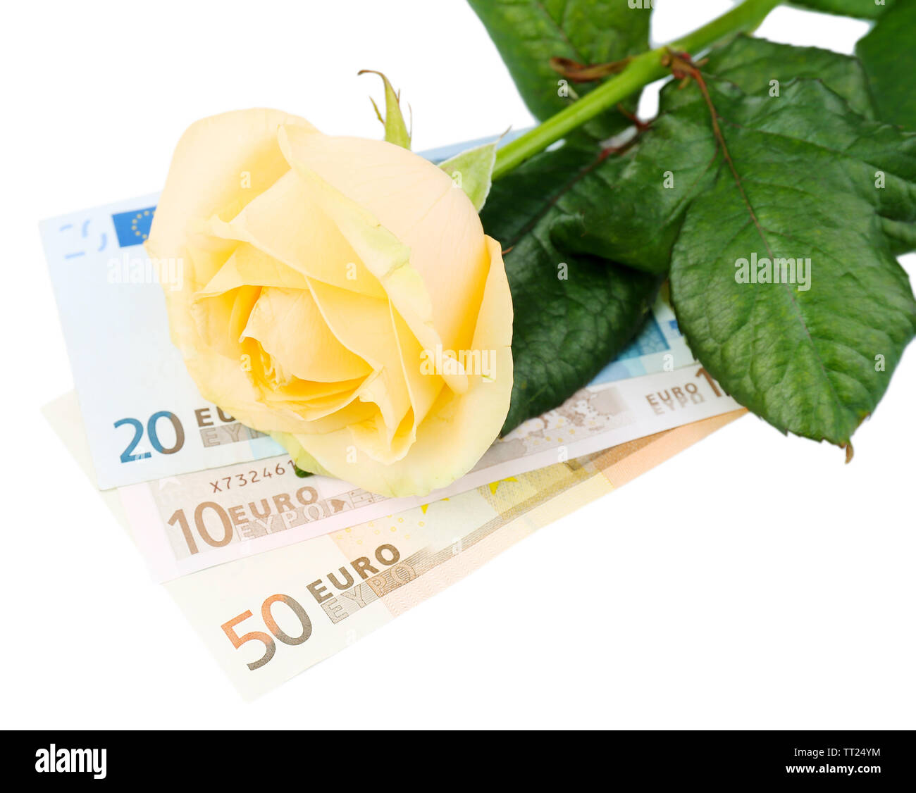 Beautiful rose and money, isolated on white Stock Photo - Alamy