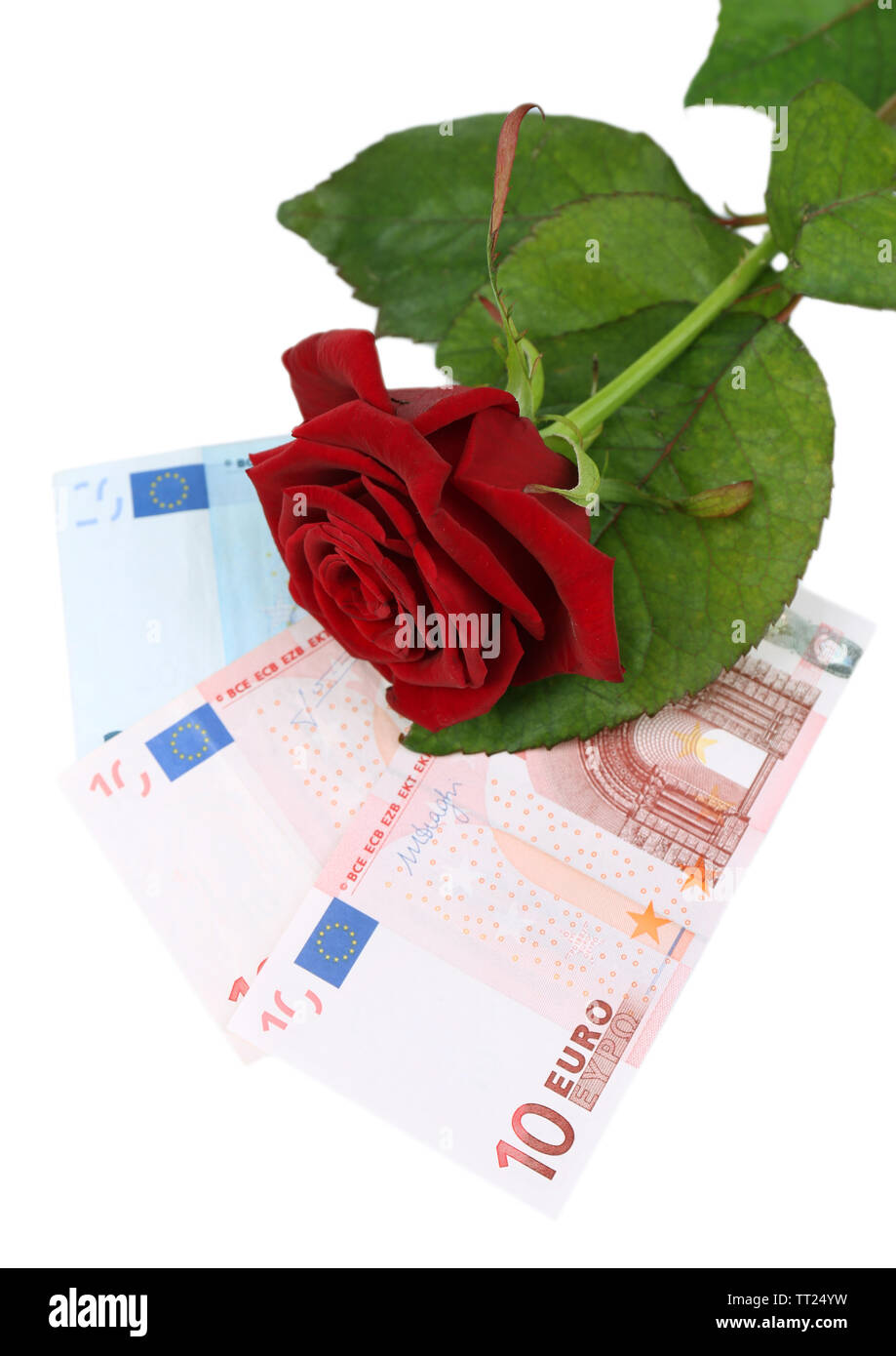 Beautiful rose and money, isolated on white Stock Photo - Alamy